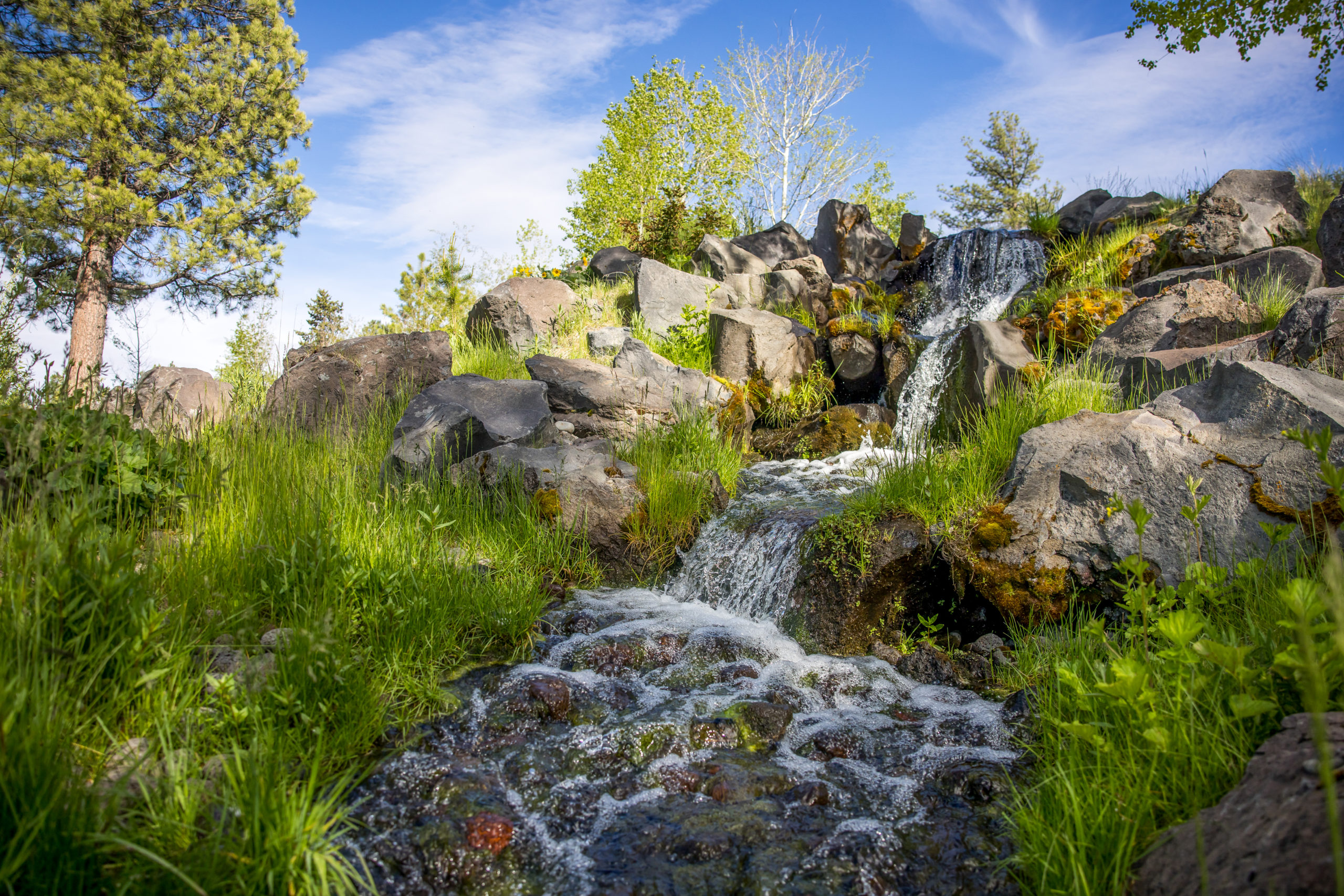 Wild & Free: A Look at Caldera Springs’ Diligent Preservation Efforts ...