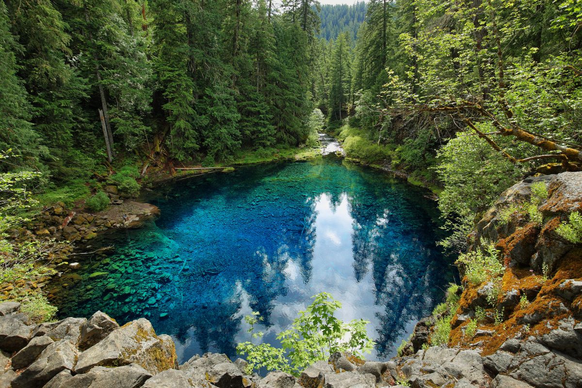 Day Trip: Explore the Blue Pools at Tamolitch Falls - Caldera Springs ...