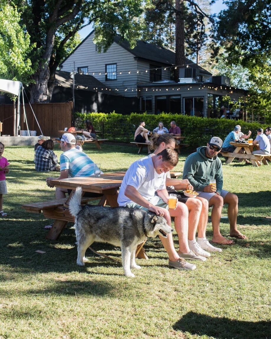 Pet-Friendly Fun at Caldera Springs: Adventures with Your Furry Friend ...